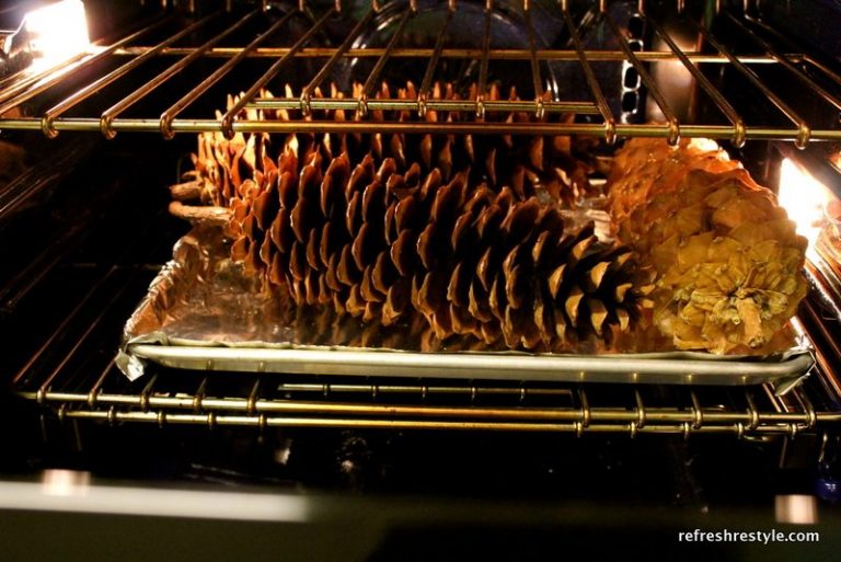 How to Bake Pinecones (and Why) - Refresh Restyle