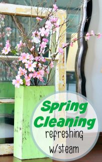 All Natural Spring Cleaning - Refresh Restyle