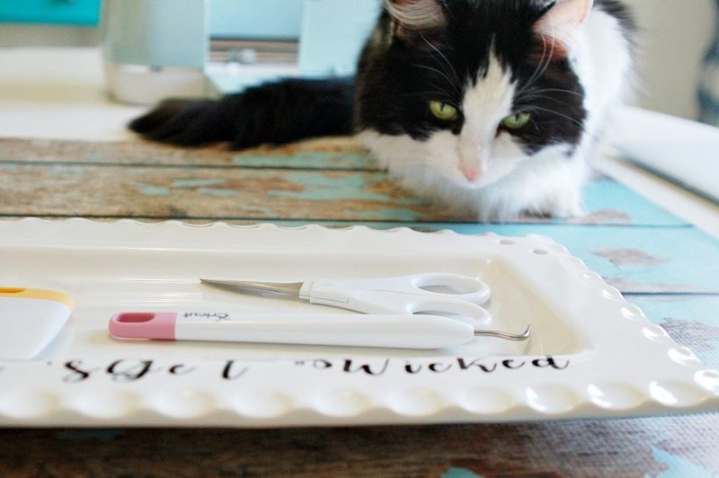 Halloween Platter - Refresh Restyle