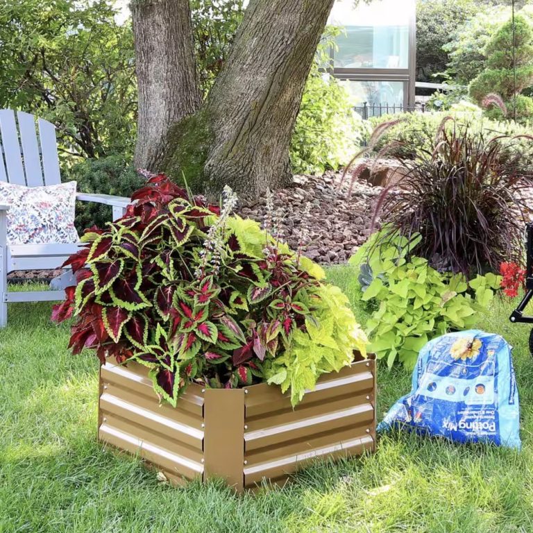 Ideas for Raised Garden Beds